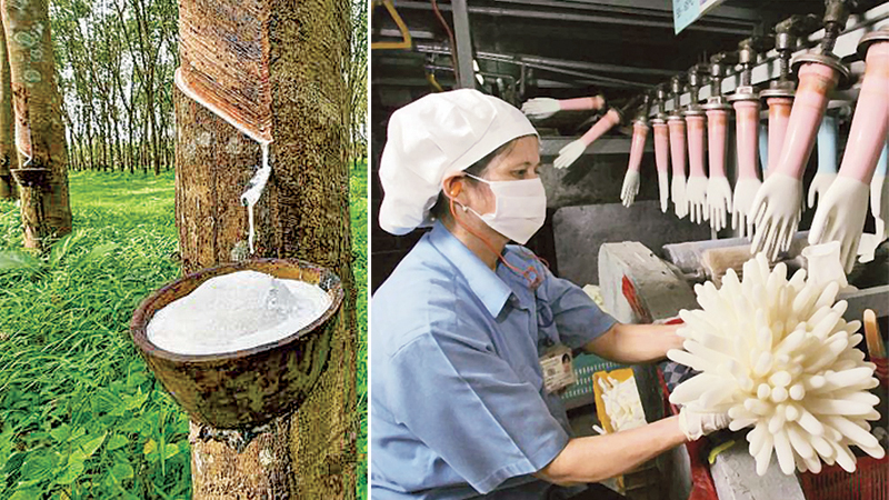 Rubber based export sector becomes one-billion-dollar Industry this ...