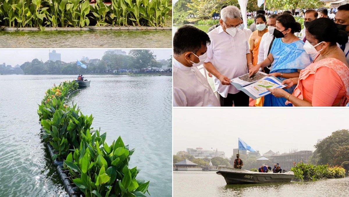 Ecological floating islands released to clean up Beira Lake - LNW Lanka ...
