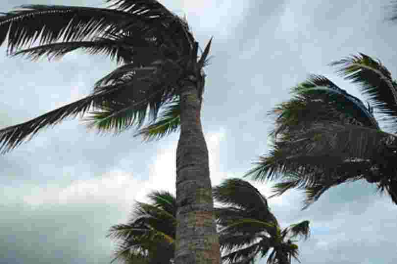 Strong Gusty Winds Expected Over Several Provinces Lnw Lanka News Web