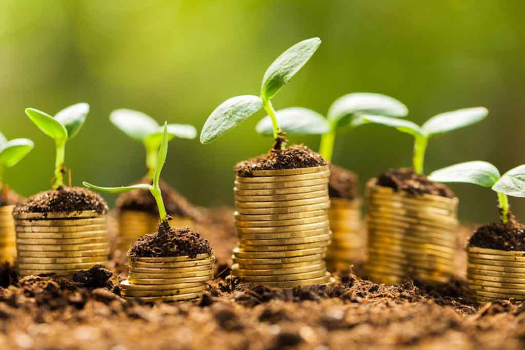 Loan Sharks in Disguise: Sri Lanka Moves to Rein in Microfinance - LNW ...