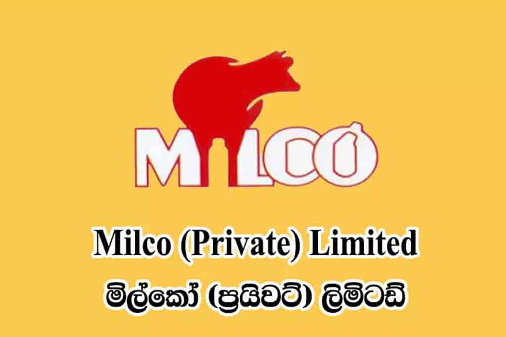 President Focuses on Revitalising Local Dairy Sector in High-Level Meeting - LNW Lanka News Web