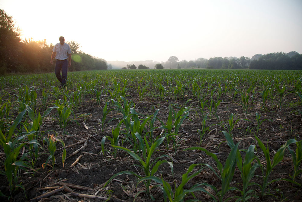 Land Management Trust on the cards to tackle state land issues. - LNW ...